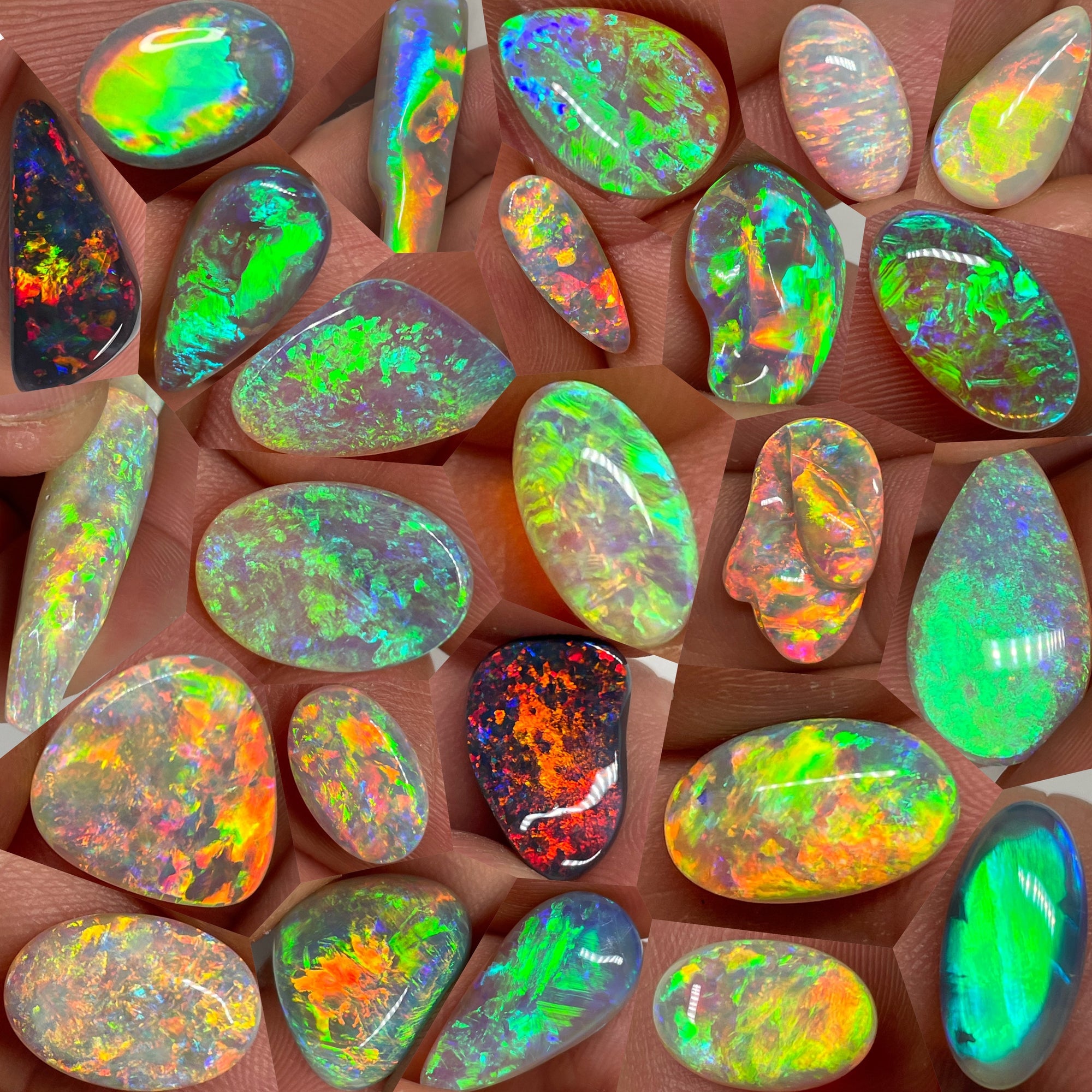 Opals by Steed - Australian Opal & Jewellery